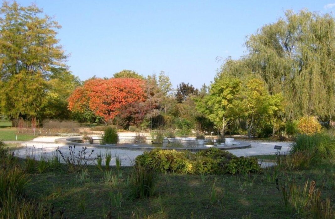 Ingyenesen látogatható, álomszép arborétumok Budapest közelében: a ...